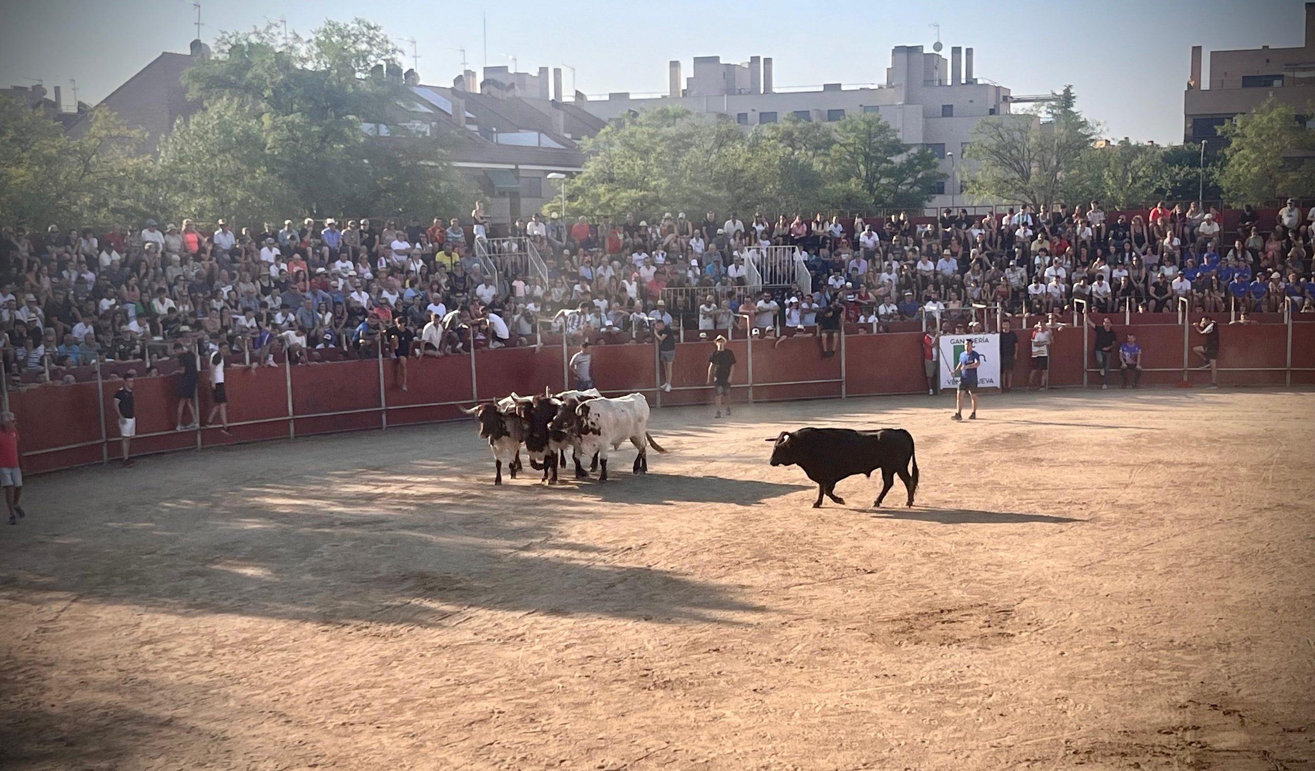 Rejonazo de la Fiscalía a la portavoz de Más Madrid Pinto - Periodico ...